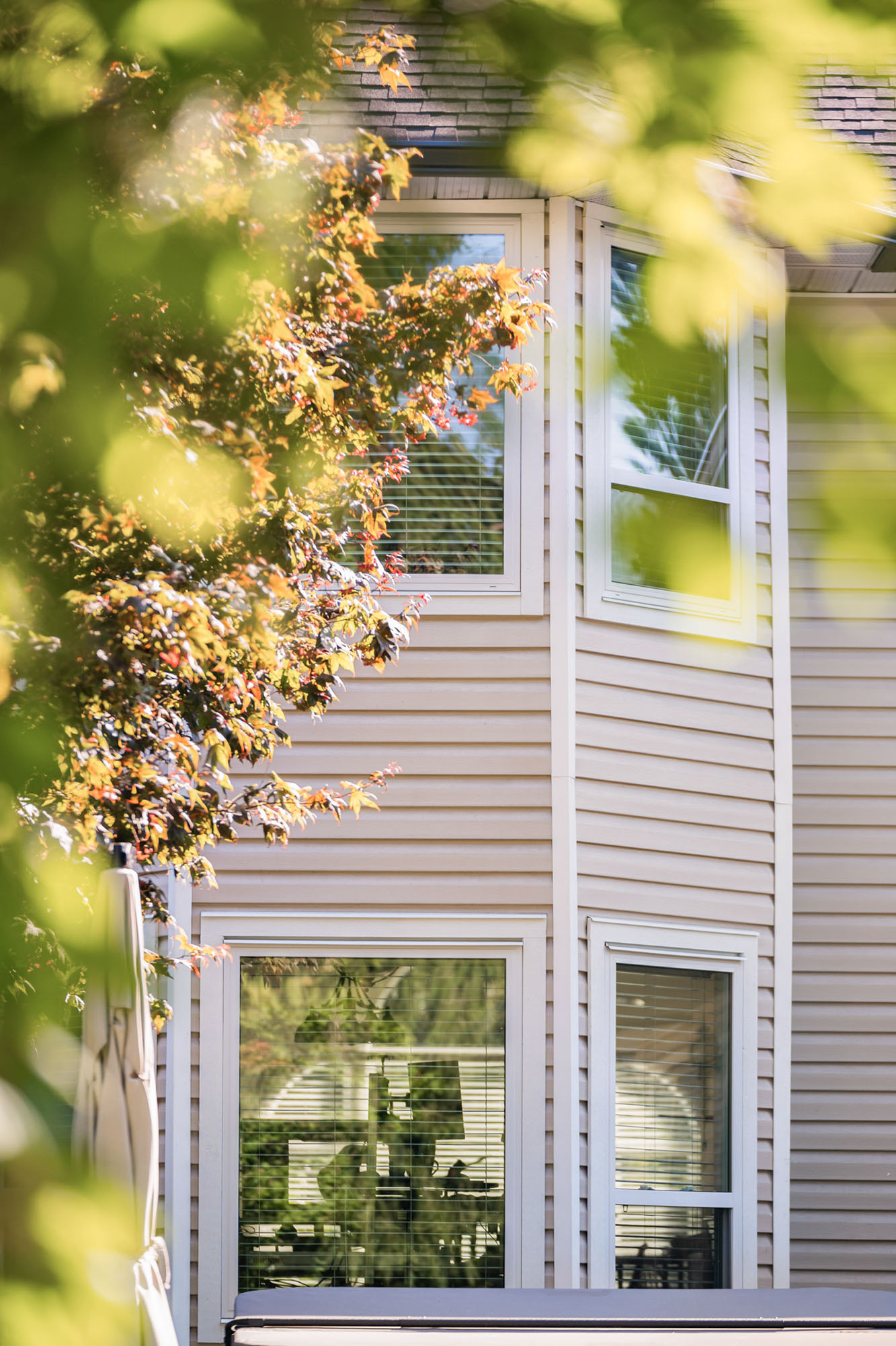 Walnut Wonder - Legacy Windows & Doors